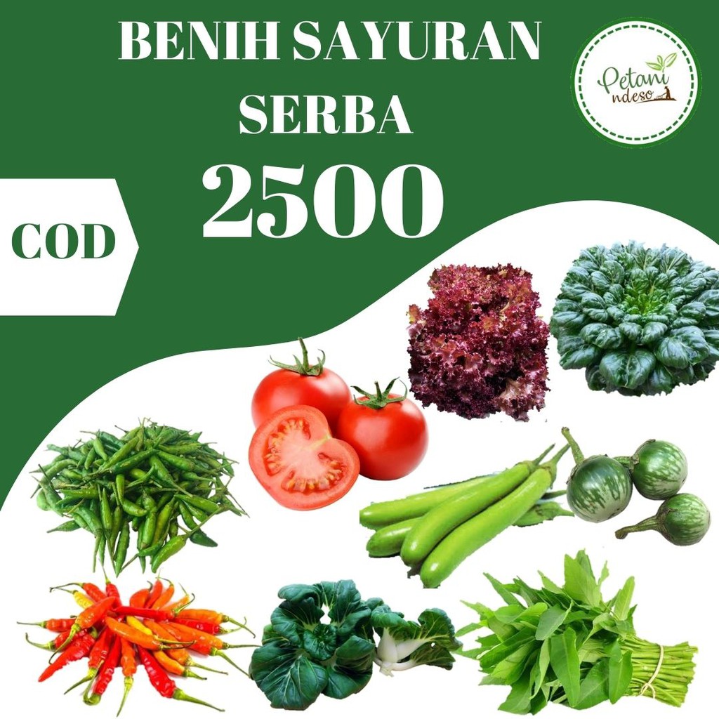 Jual Biji/Benih Bibit Sayur Sayuran Lengkap Murah Ecer Sawi, Cabe/Cabai ...