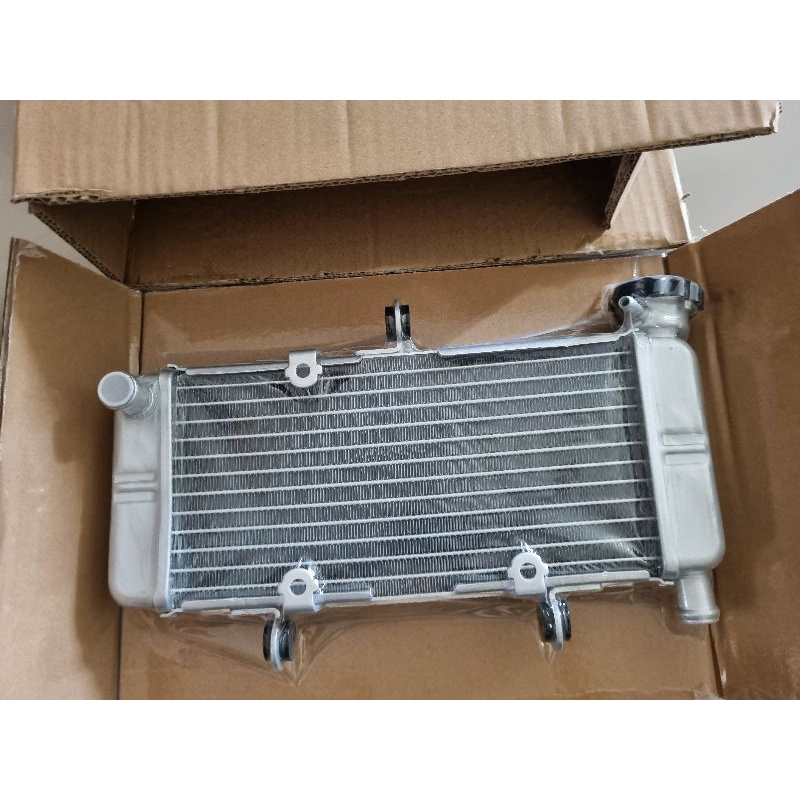 Jual Radiator CBR 250R RR & R Honda CB300f 300R dan ABS mport Baru ...