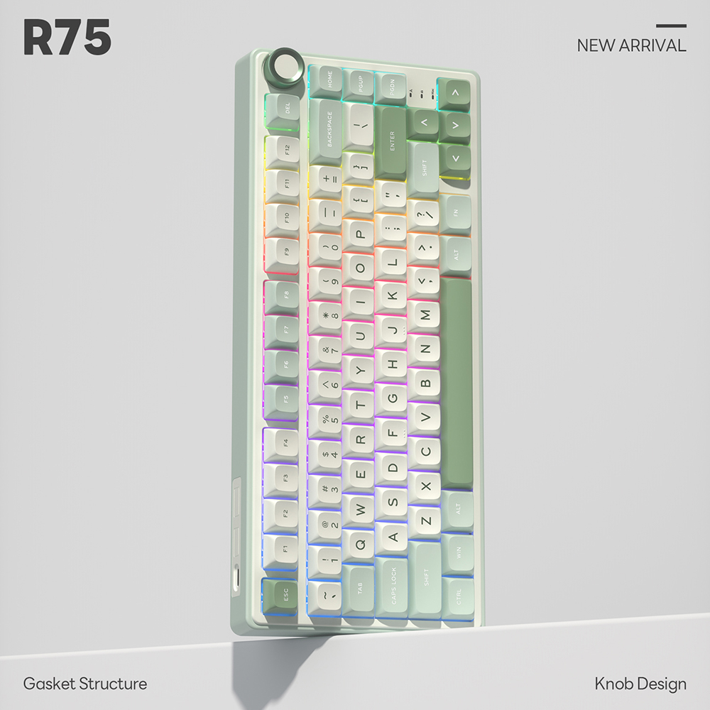 Jual Royal Kludge RK R75 Green 81 key Wired Gaming Keyboard | Shopee ...