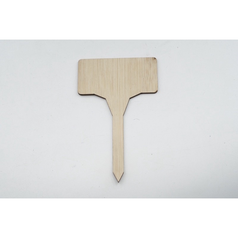 Jual Tag E Nama Bambu Tanaman Hias Semai Benih Bibit - Bamboo Plant ...