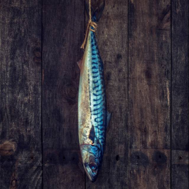 Jual Ikan Saba Utuh / Saba Whole / Mackerel / Makerel / Saba Impor ...