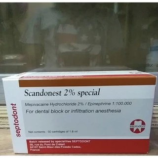 Jual scandonest Harga Terbaik & Termurah Mei 2024 | Shopee Indonesia