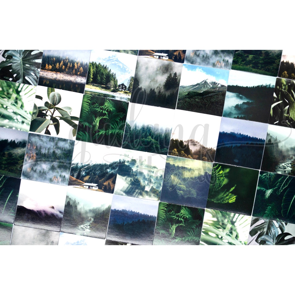 Jual Stiker Green Nature Deco Sticker Motiif Alam Hijau DIY GH 303606 ...