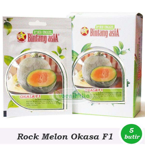 Jual Benih/Bibit Rock Melon Okasa F1 (Bintang Asia) | Shopee Indonesia