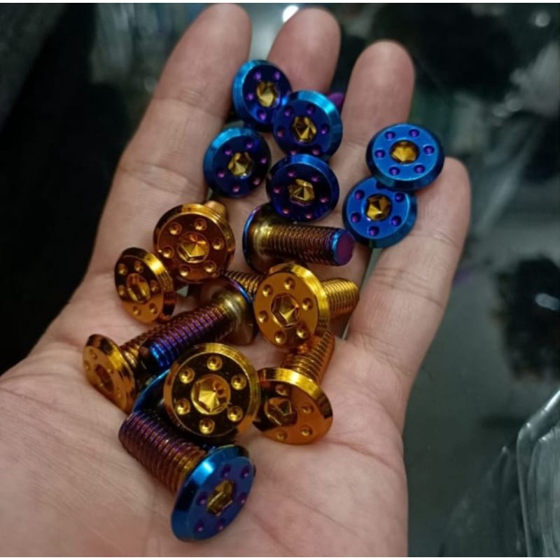 Jual Harga Satuan Baut Disc Cakram Baut Probolt Piringan Baut Probol Cakram | Shopee Indonesia