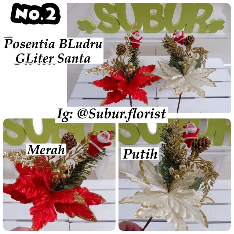 Jual Dekorasi natal Bunga Kastuba / Bunga posentia bludru santa / bunga ...