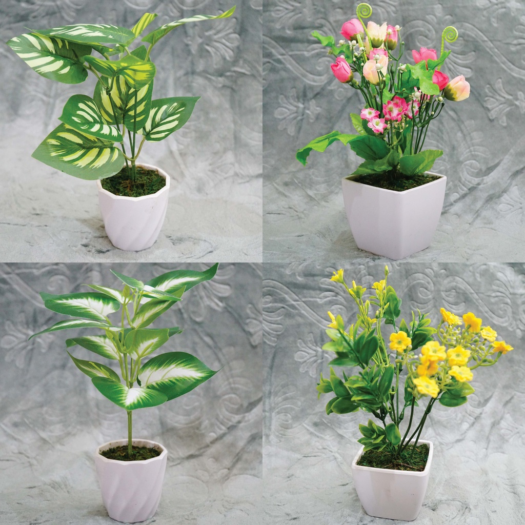 Jual Tanaman Hias Mini Pot Bunga Hias Plastik Tanaman Dekorasi Bunga ...