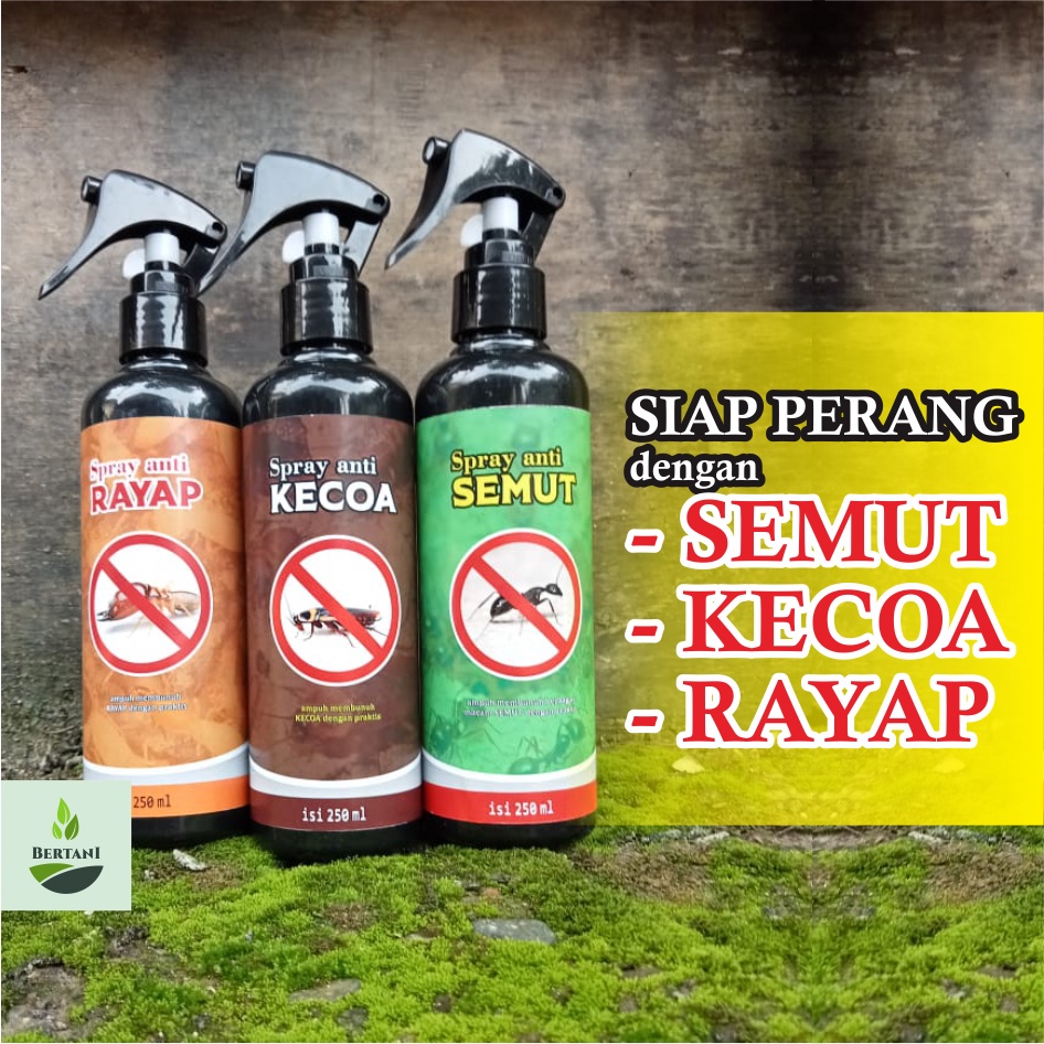 Jual PEMBASMI SEMUT RUMAH | OBAT KECOA | OBAT RAYAP KAYU Super Ampuh ...