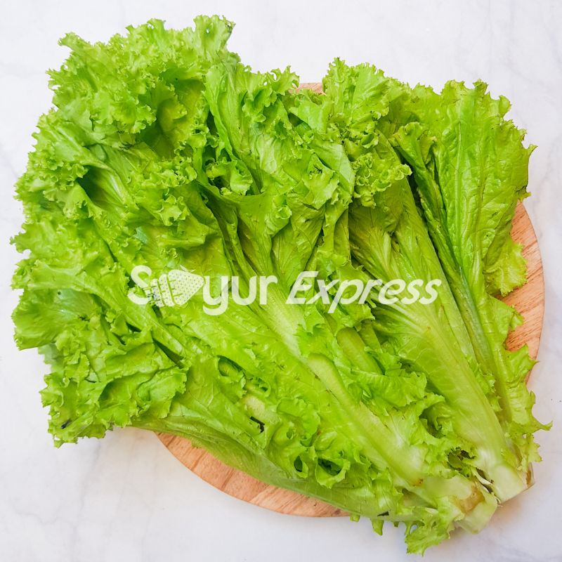 Jual KIRIM INSTAN Selada Keriting Segar 200gr | Shopee Indonesia