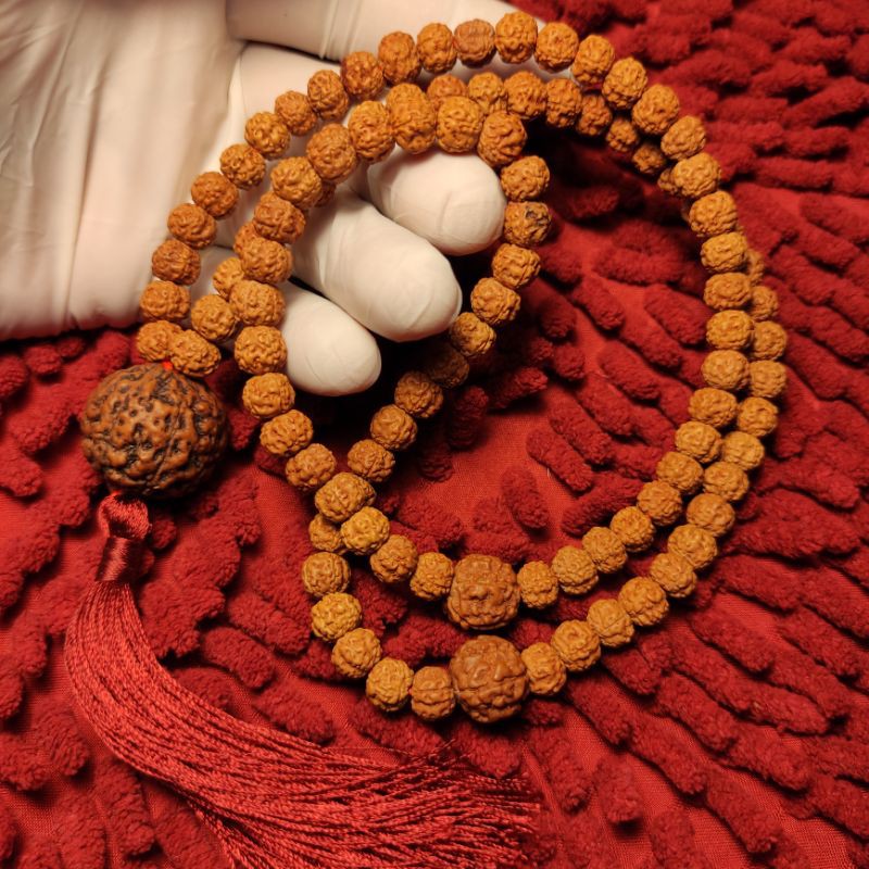 Jual jenitri rudraksha tasbih genitri original 99 dan 108 | Shopee ...