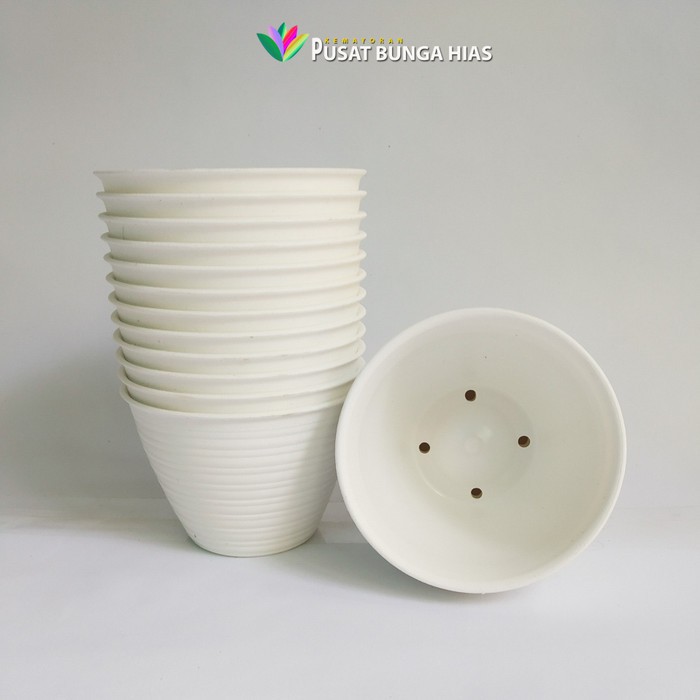Jual POT MADU 12 CM PUTIH - POT BUNGA BULAT 12CM VAS BUNGA - POT TAWON ...