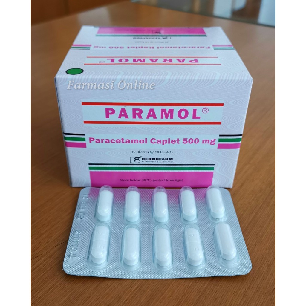 Jual Paramol Paracetamol 500 mg Box 100 Tablet | Shopee Indonesia