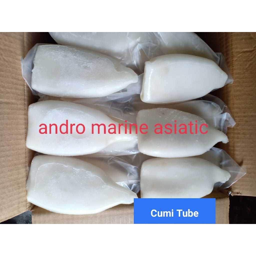 Jual cumi tube kupas bersih frozen @1000gr | Shopee Indonesia
