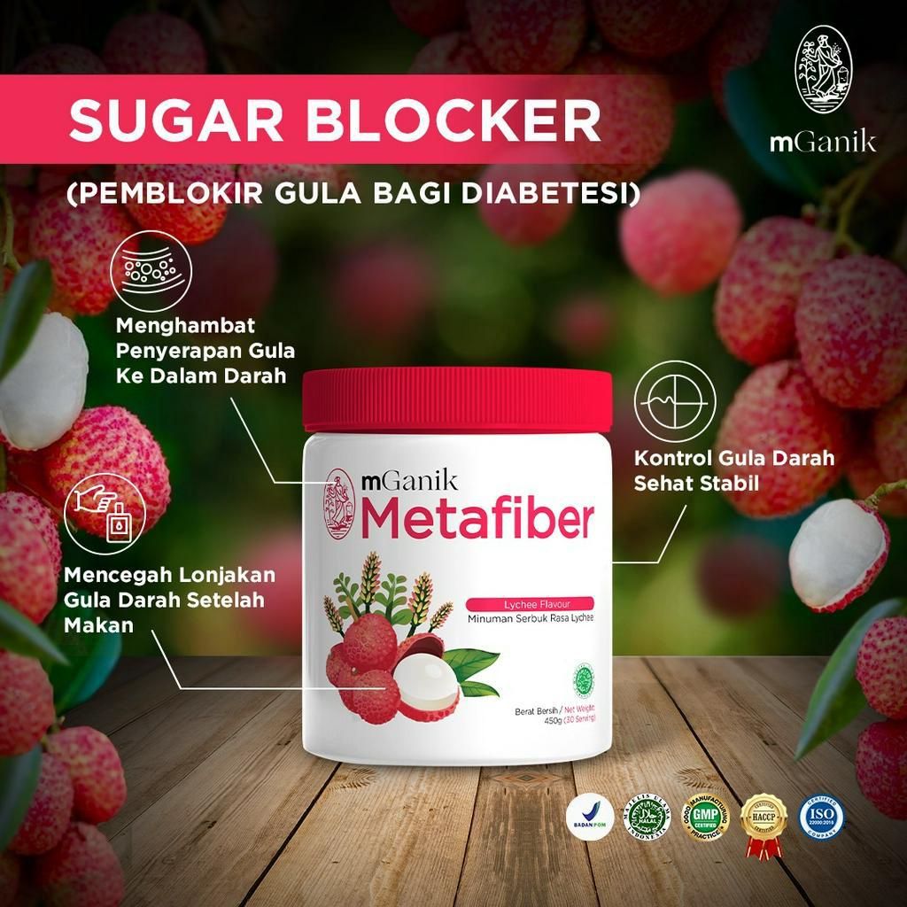Jual mGanik Metafiber 450gr + Bonus - Suplemen Serat Diabetes Herbal ...