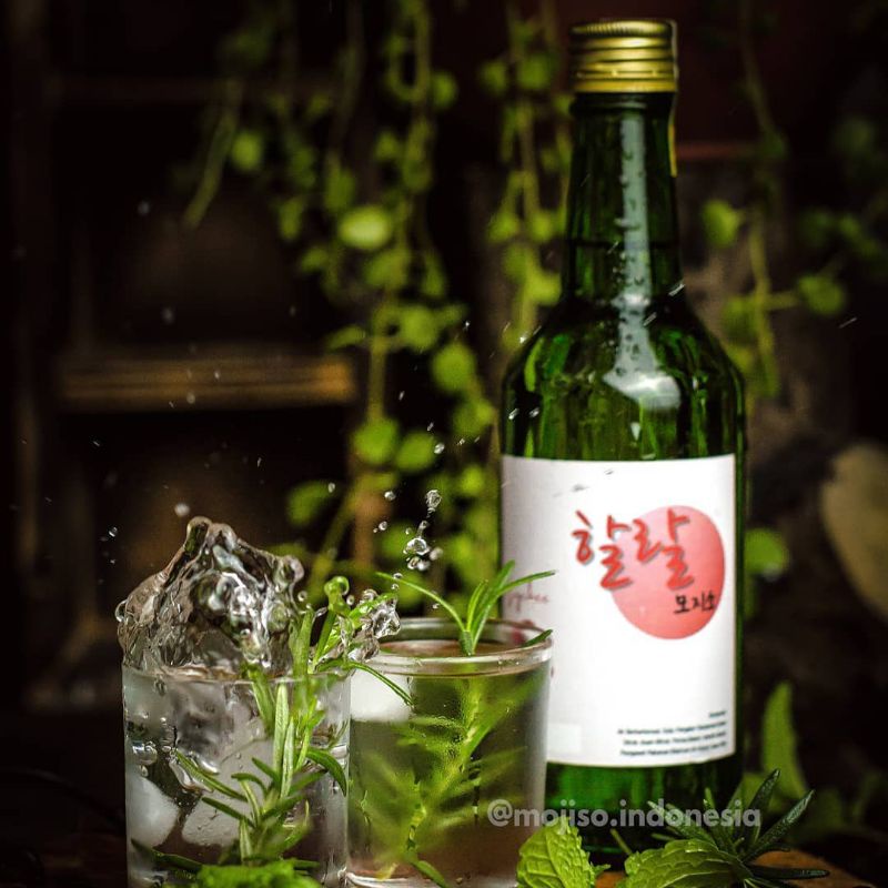Jual FREE GELAS Mojiso Soju Halal solju saju sooha | Shopee Indonesia