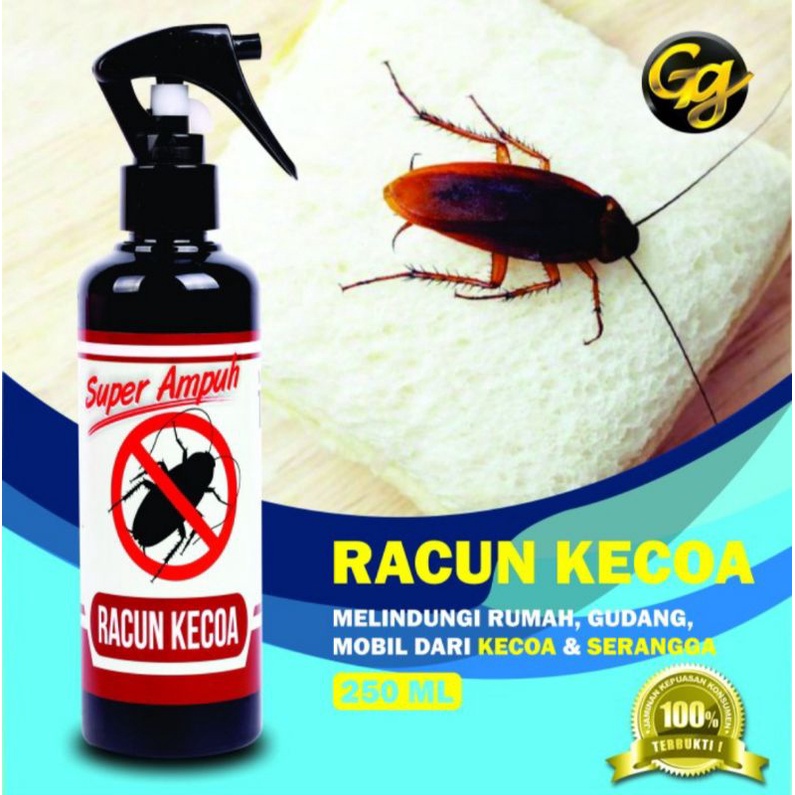 Jual racun kecoa 250ml | Shopee Indonesia
