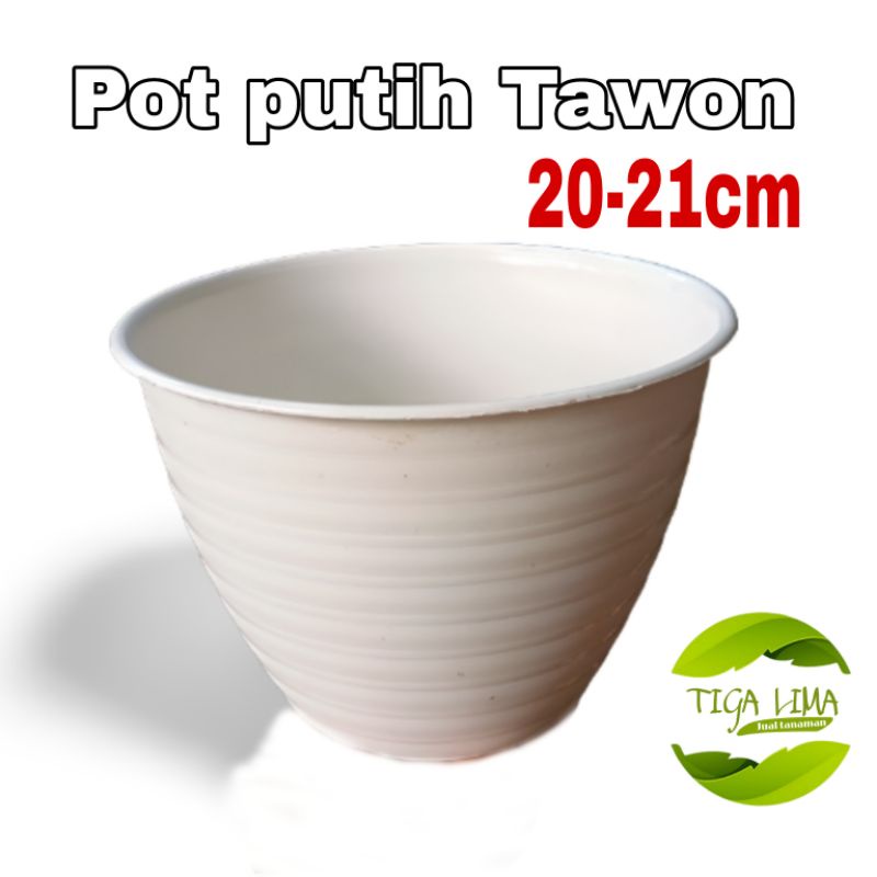 Jual pot putih Tawon/pot plastik/pot tanaman tawon putih 20-21cm ...