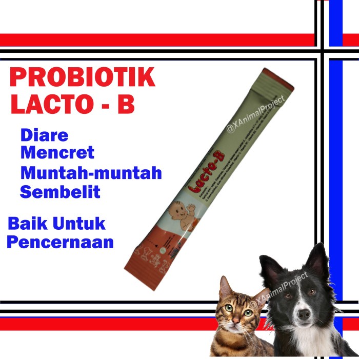 Jual Probiotik Lacto-B Probiotic Lacto B Obat Diare Mencret Kucing ...