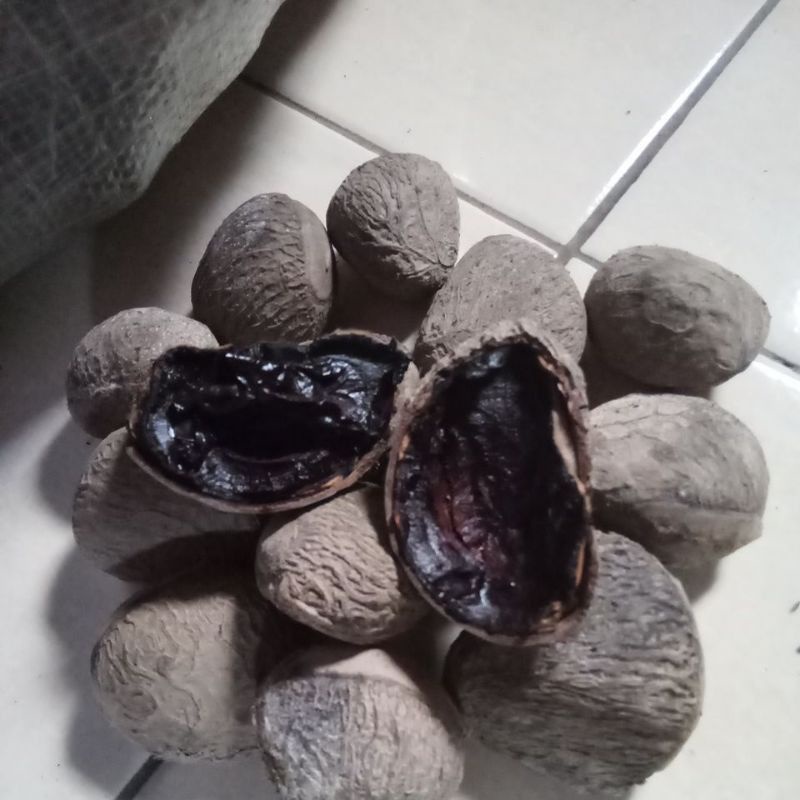 Jual kluwak kluwek pucung 500g | Shopee Indonesia