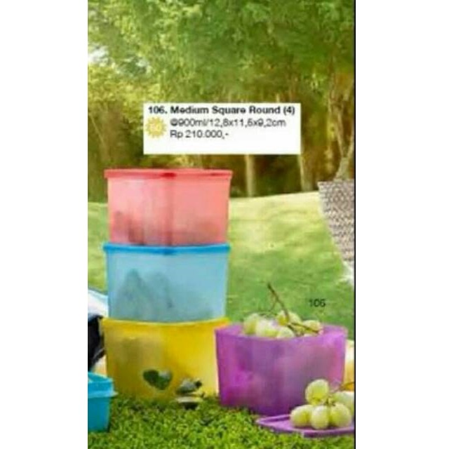 Jual tupperware medium square round - BUKAN summer fun / summer fresh ...