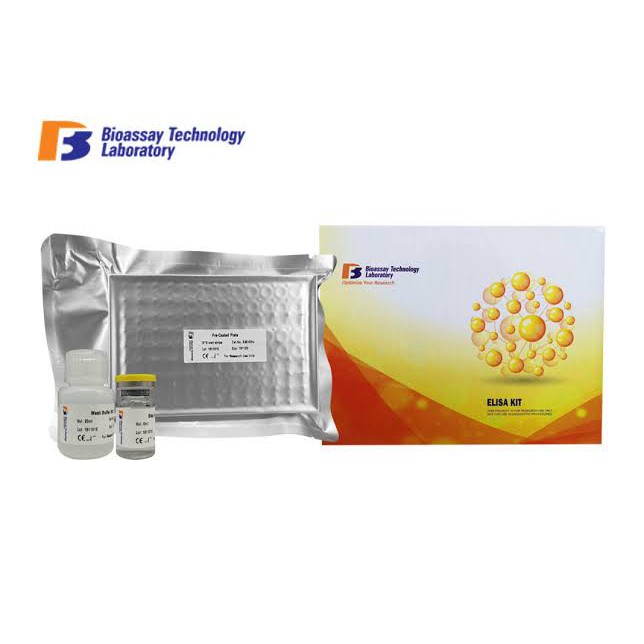 Jual Human Transforming Growth Factor β1 ELISA Kit E0134Hu | Shopee ...