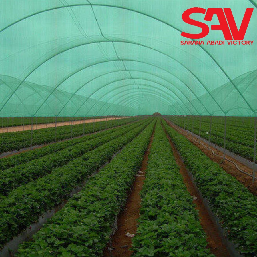 Jual Jaring kasa hijau dan putih roll 50 meter / insect net screen HDPE ...