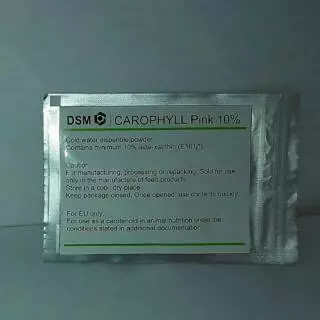 Jual carophyll pink Harga Terbaik & Termurah Juni 2024 | Shopee Indonesia