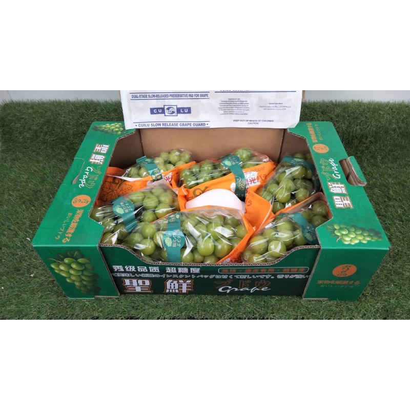 Jual Anggur Shine Muscat china 4 kg / box | Shopee Indonesia