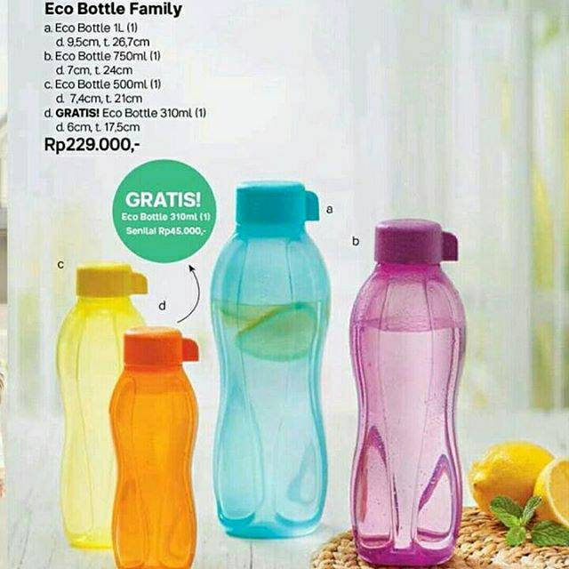 Jual Botol minum Tupperware eco botol family | Shopee Indonesia
