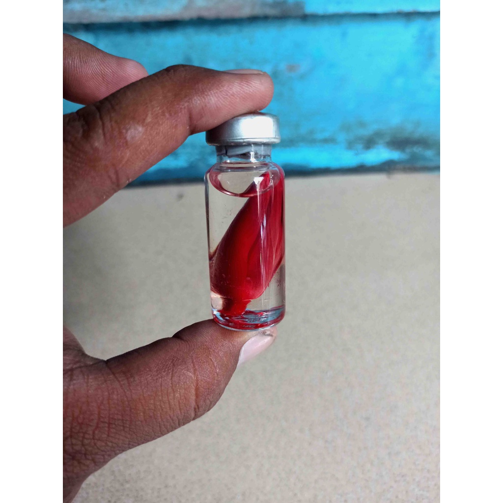 Jual Minyak Bunga Kantil Merah Asli Aroma Khas Racikan Nenek Moyang ...