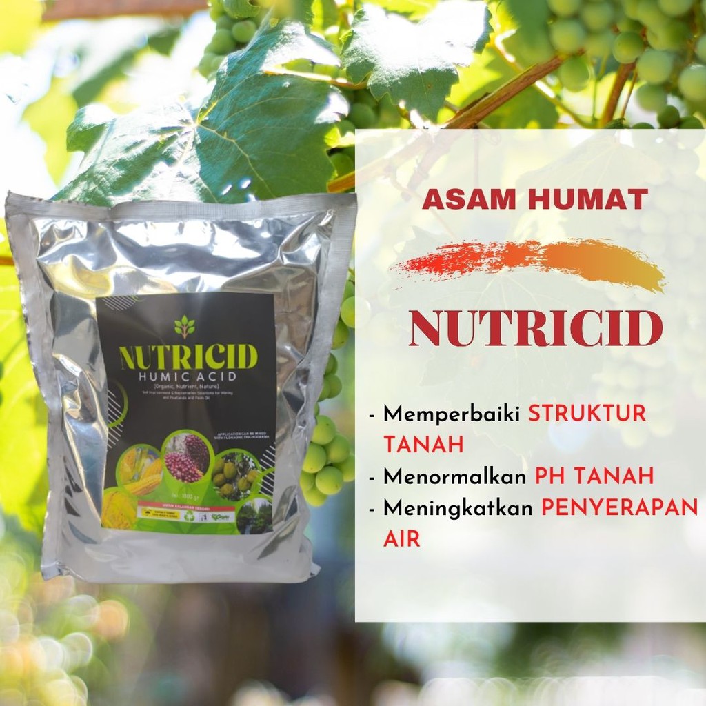 Jual Pupuk Anggur Pertumbuhan / Nutricid Humic Acid / Asam Humat Untuk ...