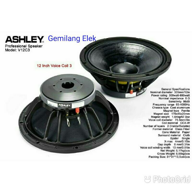 Jual Speaker ASHLEY 12 inch V12C3 Original | Shopee Indonesia