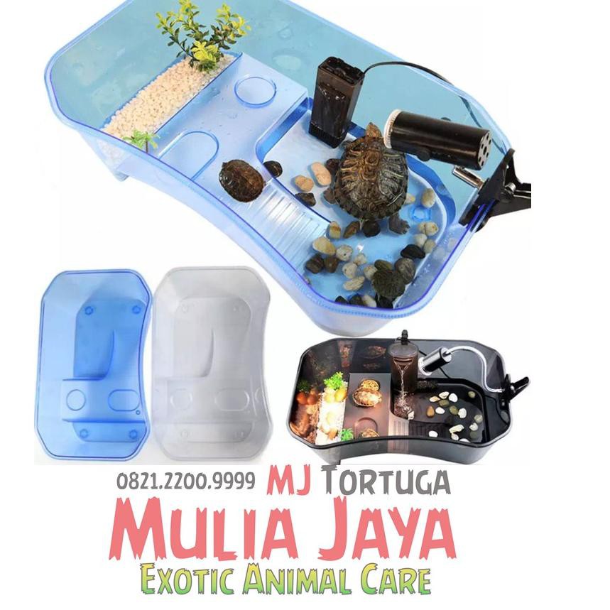 Jual PJD Turtle Tank M 40x24x13cm Vivarium Aquarium Kura - Aquarium Turtle - Aquarium Kura Kura ...