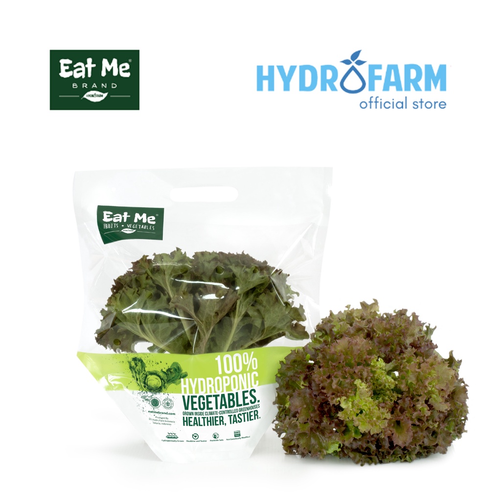 Jual Eat Me Brand - Sayur Salad Red Lollorossa Hidroponik Perpack ...