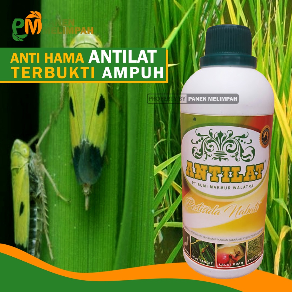 Jual Pupuk Pestisida Organik Cair Racun Pembasmi Hama Tanaman Obat Anti Tungro Antilat | Shopee ...
