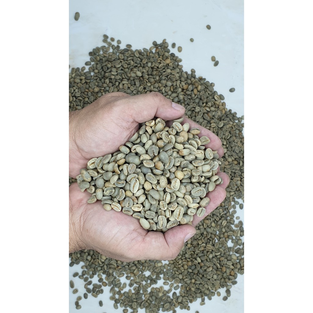 Jual Kopi Arabika Biji Green Bean Papua Wamena Dry Hulled 1kg Grade 1 ...