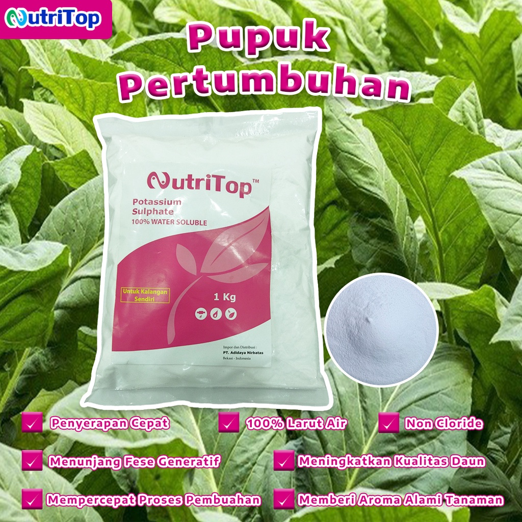 Jual Pupuk Pertumbuhan Potsul/Potassium Sulfat/ZK/Kalium Sulfat/SOP ...