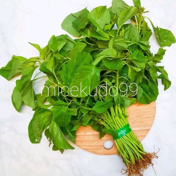 Jual BAYAM AKAR ORGANIK SEGAR / FRESH SAYUR DAUN SPINACH ORGANIC BALI ...