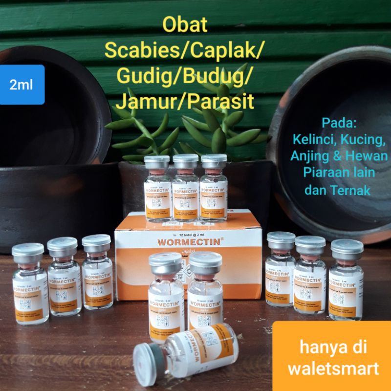Jual WORMECTIN 2ml obat jamur parasit cacing scabies gudig budug pada ...