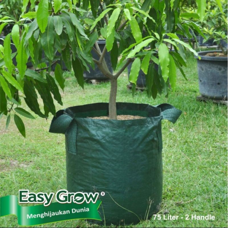 Jual planter bag easy grow 75 Liter | Shopee Indonesia