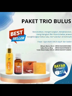 Jual MINYAK BULUS ORIGINAL / MASSAGE OIL BULUS SR12 / PENGENCANG ...