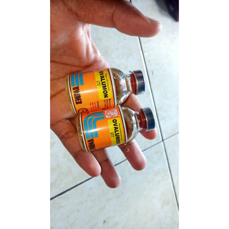 Jual obat birahi hewan ovalumon | Shopee Indonesia