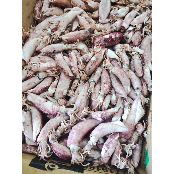 Jual Cumi Telor 500gr 1kg Shopee Indonesia