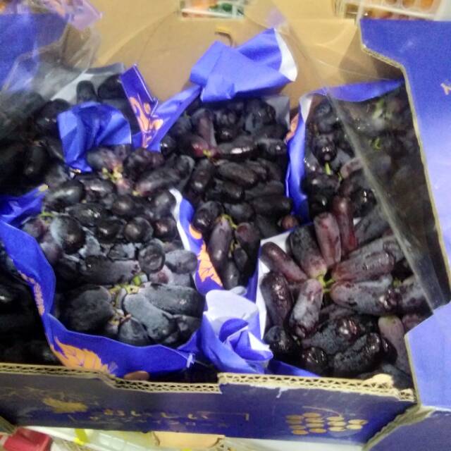 Jual Anggur Jari Terlengkap & Harga Terbaru Mei 2026 | Shopee Indonesia