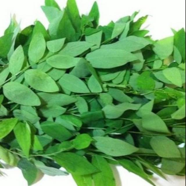 Jual Sayur Daun Katuk 200 gr | Shopee Indonesia