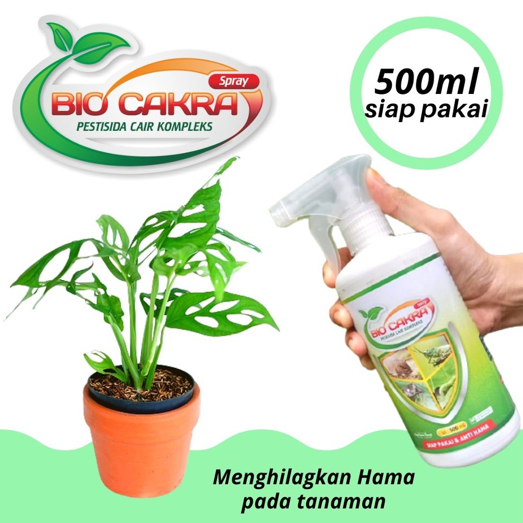 Jual Pestisida Spray BIO CAKRA Pembasmi Hama Tanaman Hias dan ...