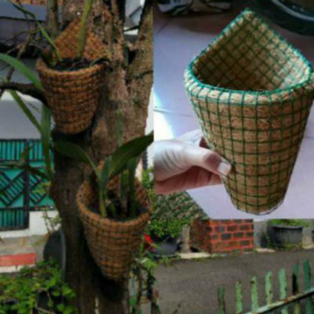 Jual POT BUNGA, POT ANGGREK,POT SERABUT SABUT KELAPA KERUCUT,POT TEMPEL ...