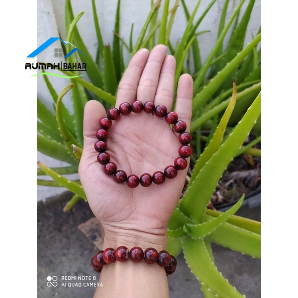 Jual Akar bahar merah butir 9mm super tembus cahaya | Shopee Indonesia