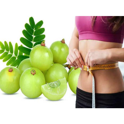 Jual Ready Oke] Amla Powder 25 Gram Amla Fruit Extract Powder 25Gr ...