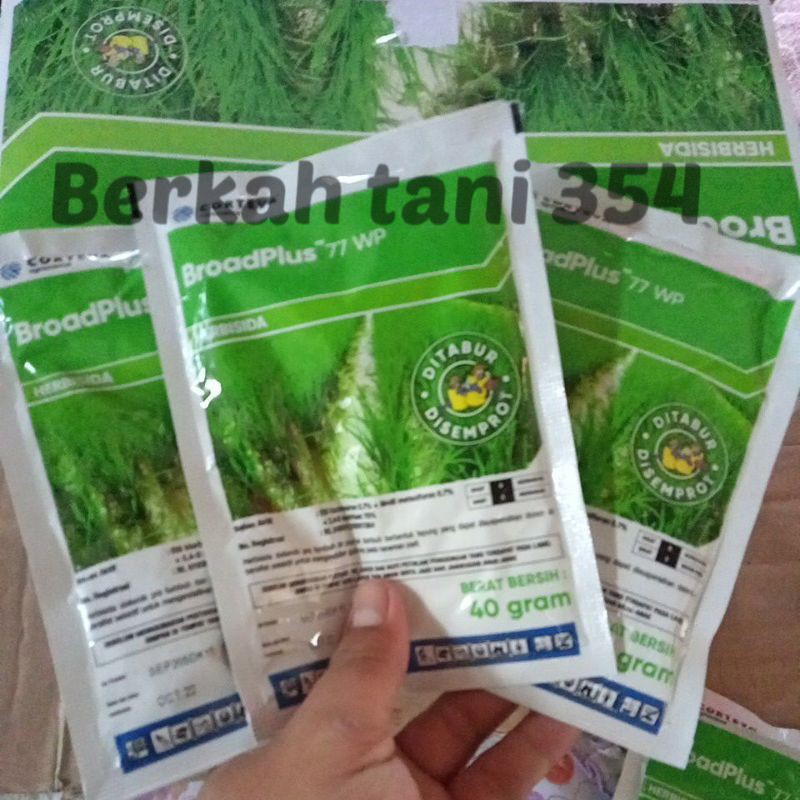 Jual Obat pembasmi rumput Herbisida Rumput dan gulma pada Tanaman Padi ...